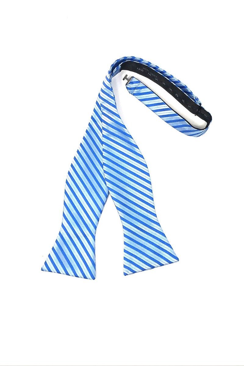 Blue Newton Stripe Bow Tie – PolishedThreads.com